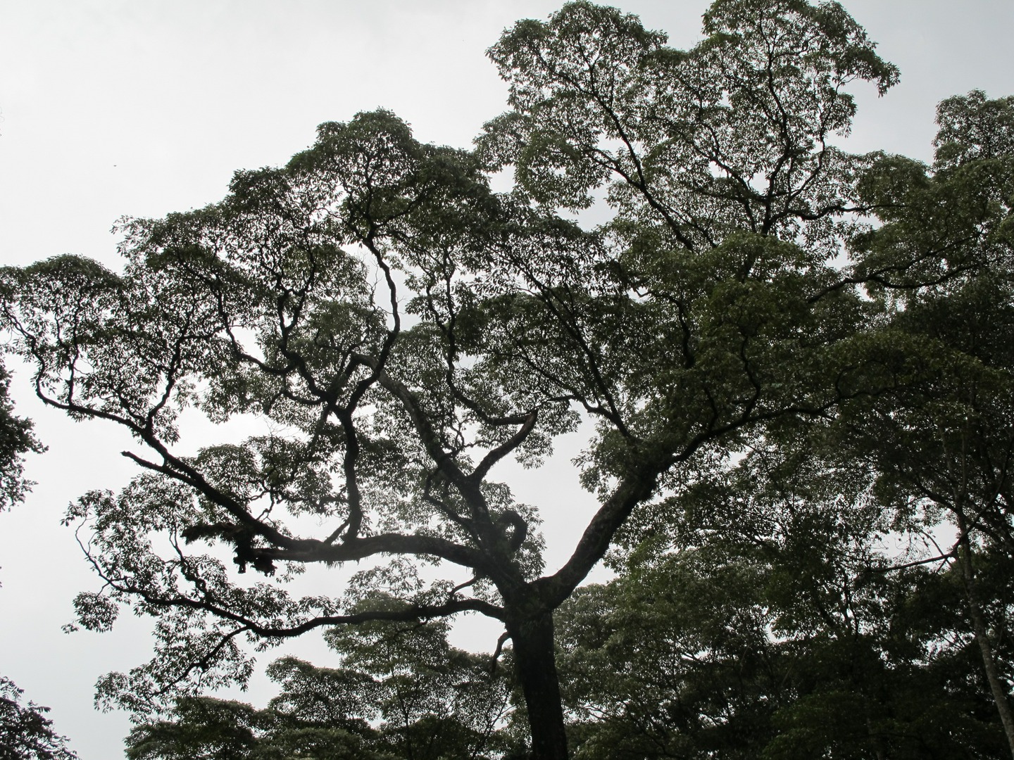 Wat is het effect van zachte kracht? - Instituut voor Undefended Leadership