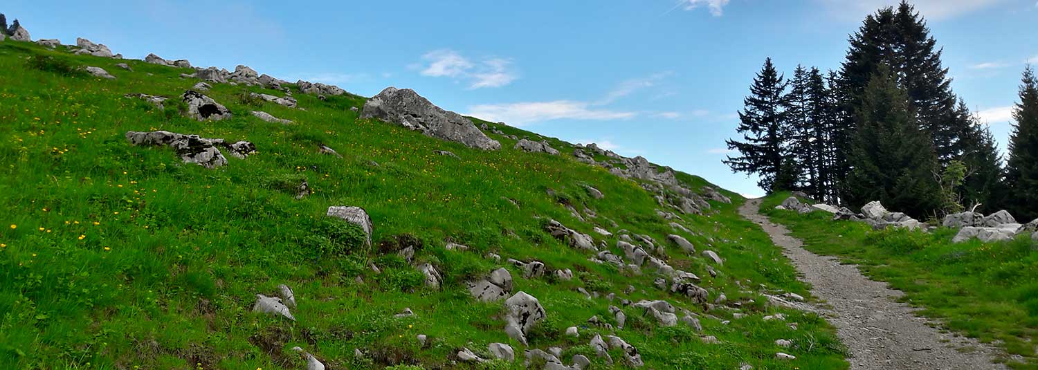 Loslaten en ontvangen, hoe is dat voor jou? - Instituut voor Undefended ...