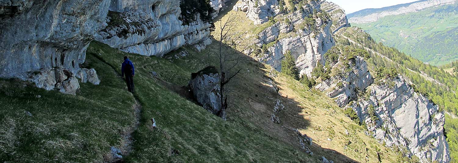 Wat is jouw leiderschapsego? - Instituut voor Undefended Leadership