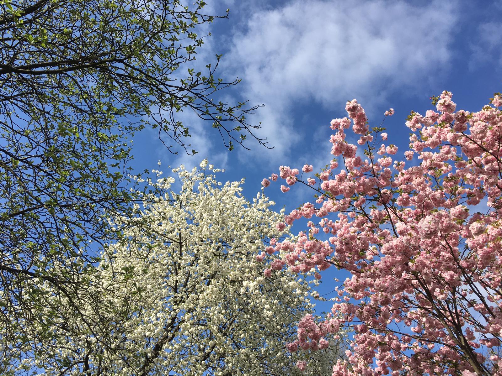 Is het leven een geschenk in tijden van Corona? - Instituut voor ...
