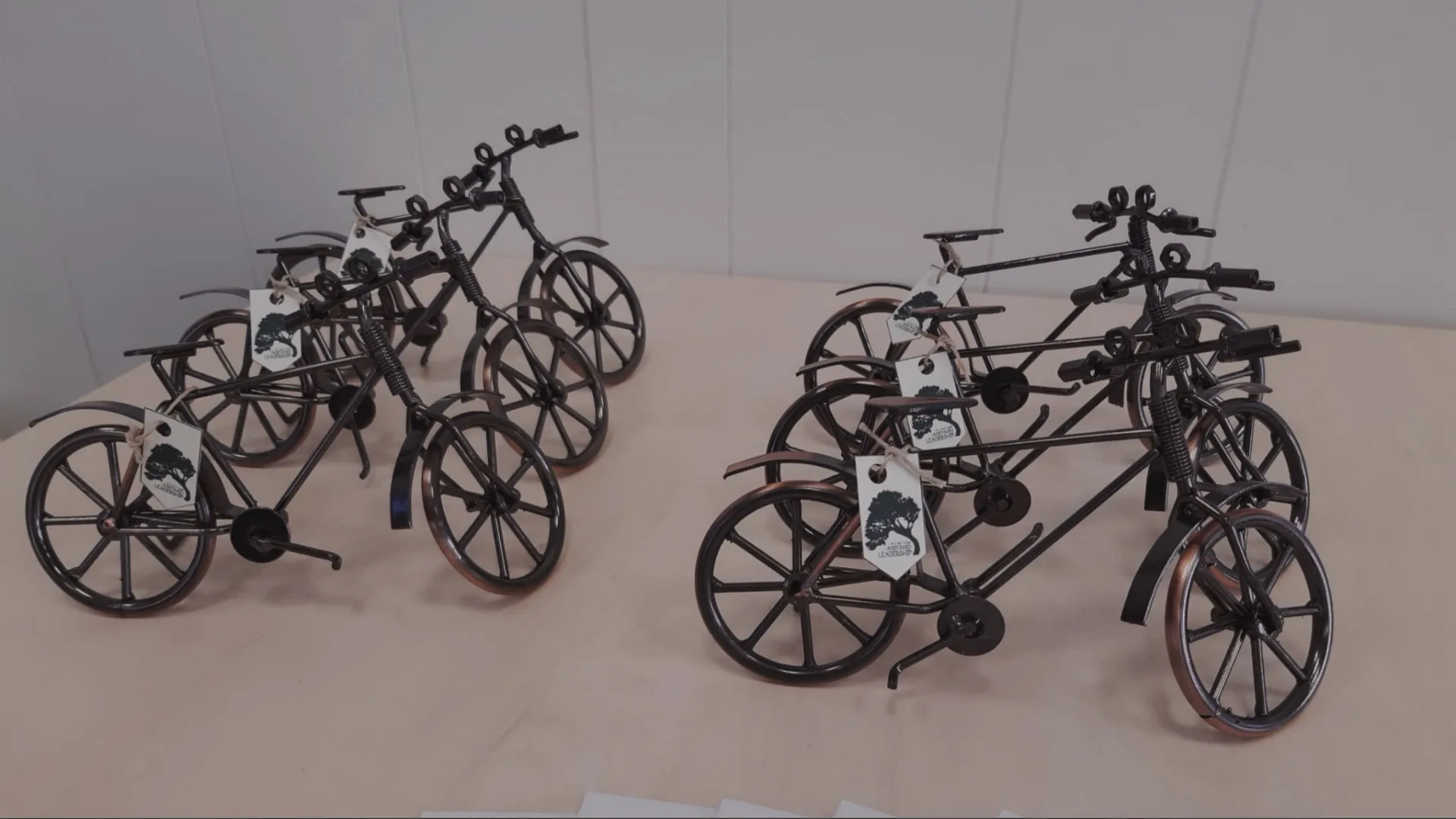 Leertrack The Undefended Leader | Persoonlijk Plus - Instituut voor ...